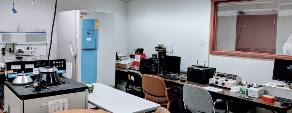 Bhagwat Lab – Biochemistry research group at Wayne State University